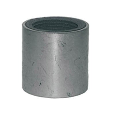 LEGEND 301-534 T-578 Dielectric Coupling, 3/4 in Nominal, FNPT End ...